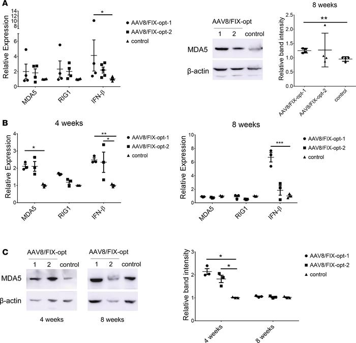JCI Insight - Double-stranded RNA innate immune response activation ...