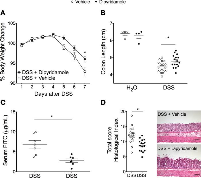 JCI Insight - Coordination of ENT2-dependent adenosine transport and ...