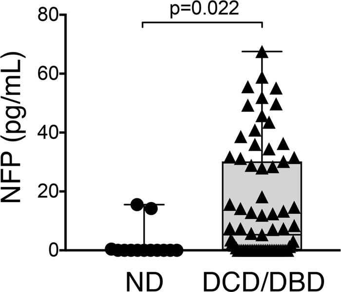 Jci Insight Circulating Mitochondria In Deceased Organ Donors Are