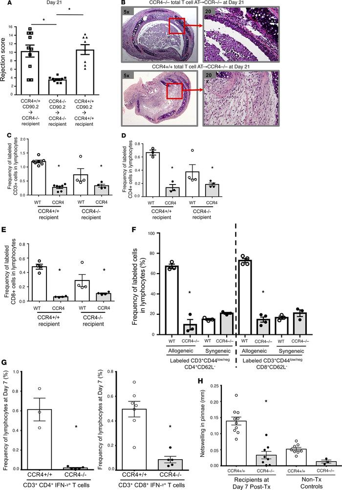 JCI Insight - CCR4 expression on host T cells is a driver for ...