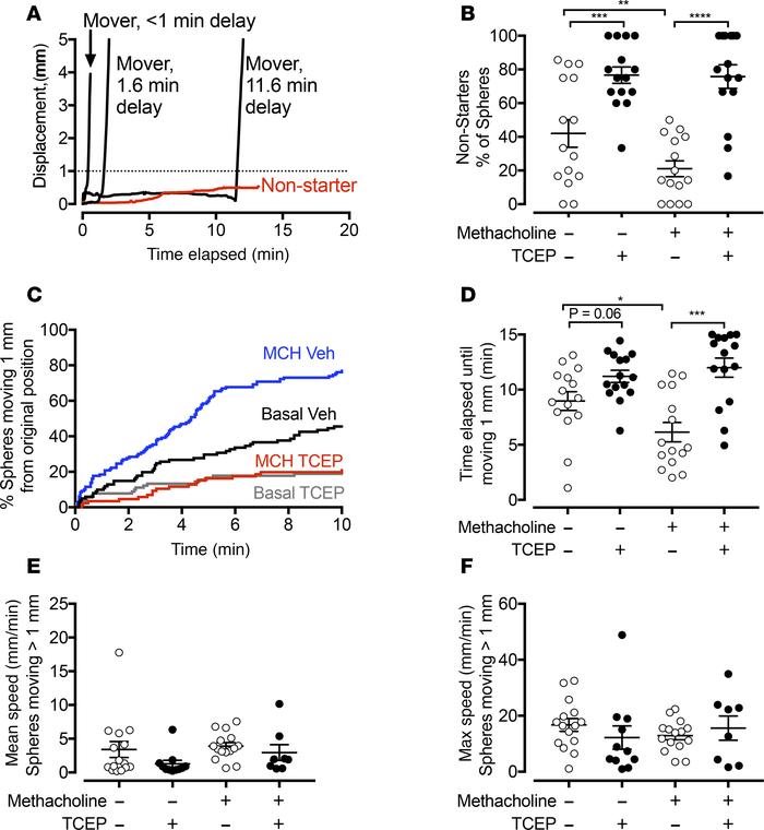 JCI Insight - Mucus strands from submucosal glands initiate mucociliary ...
