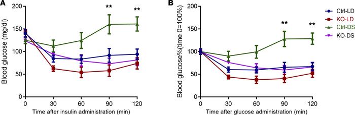 JCI Insight - Bmal1 deletion in mice facilitates adaptation to ...