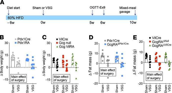 JCI Insight - Glycemic effect of pancreatic preproglucagon in mouse ...