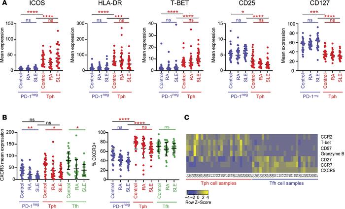 JCI Insight - PD-1hiCXCR5– T peripheral helper cells promote B cell ...