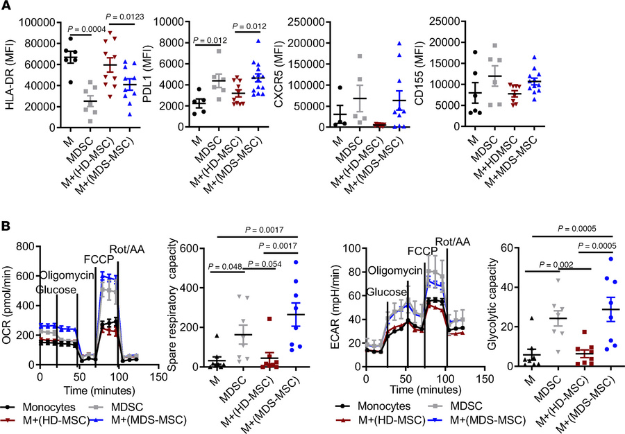 JCI Insight - Mesenchymal stromal cells shape the MDS microenvironment ...
