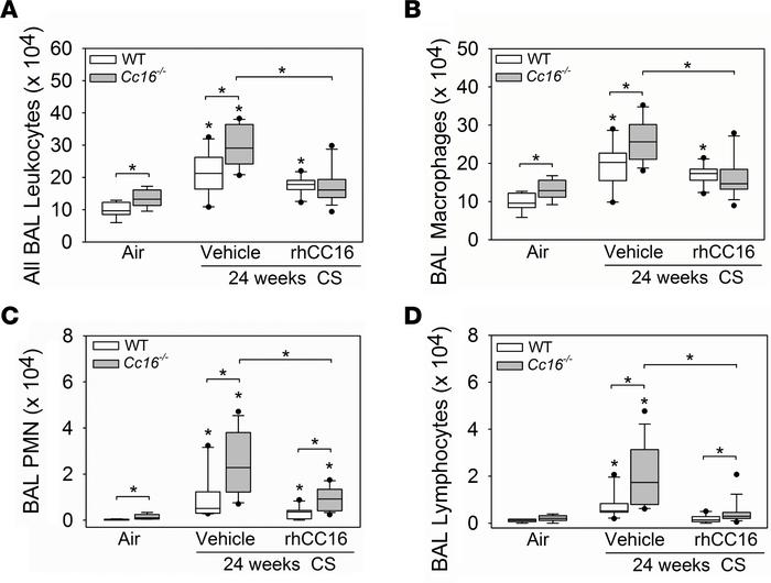 JCI Insight - CC16 augmentation reduces exaggerated COPD-like disease ...