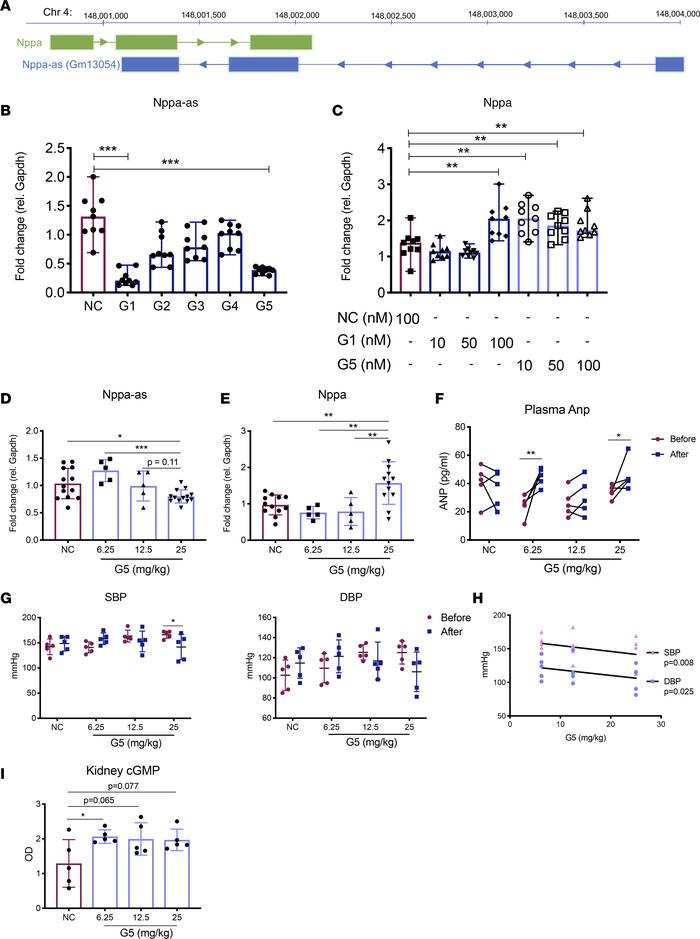 JCI Insight - Antisense regulation of atrial natriuretic peptide expression