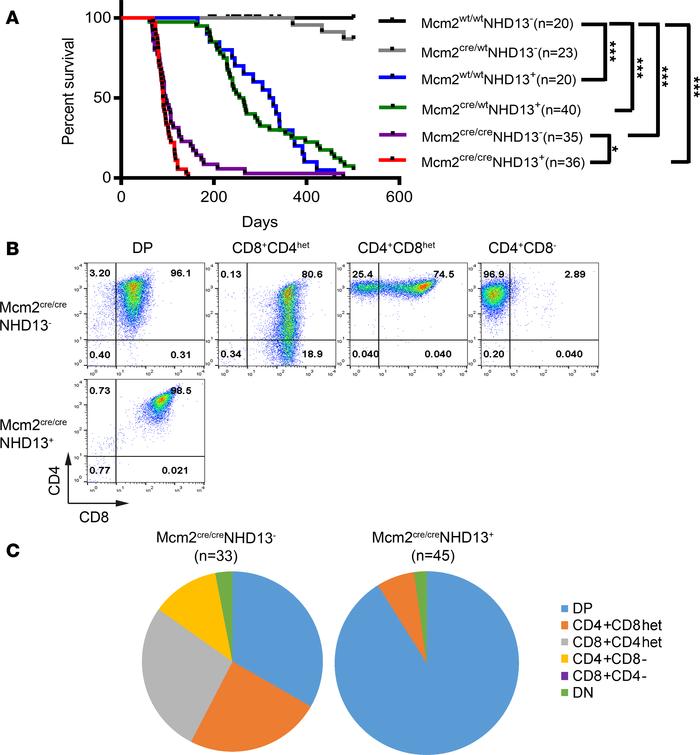 JCI Insight - A unique mutator phenotype reveals complementary ...