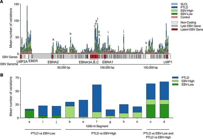 JCI Insight - Genomic variations in EBNA3C of EBV associate with ...