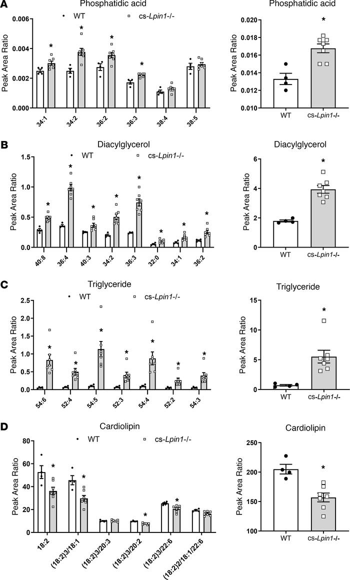 JCI Insight - Myocardial Lipin 1 knockout in mice approximates cardiac ...