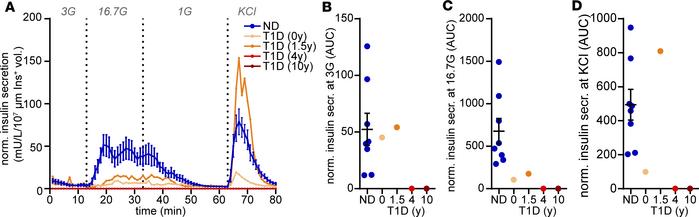 JCI Insight - Pancreas tissue slices from organ donors enable in situ ...