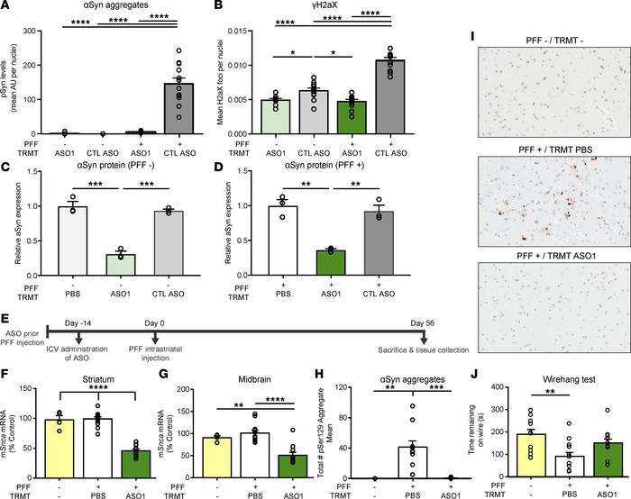 JCI Insight - α-Synuclein antisense oligonucleotides as a disease ...