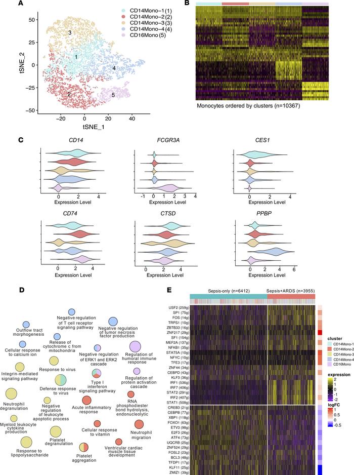 JCI Insight - Single cell RNA sequencing identifies an early monocyte ...