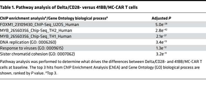 JCI Insight - MyD88/CD40 signaling retains CAR T cells in a less ...