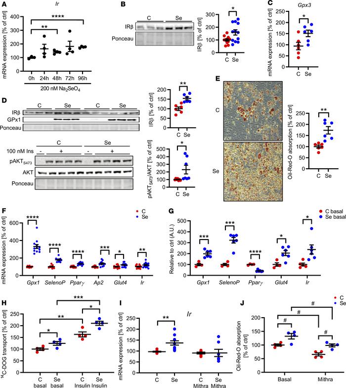 JCI Insight - GPx3 dysregulation impacts adipose tissue insulin ...