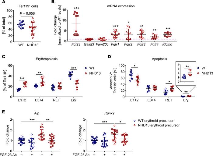 JCI Insight - Increased FGF-23 levels are linked to ineffective ...