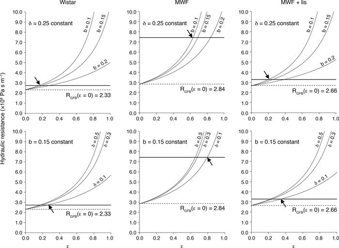JCI Insight - Role of ultrastructural determinants of glomerular ...