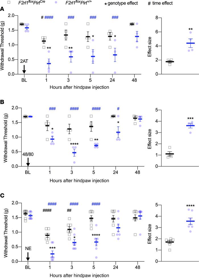 JCI Insight - The cellular basis of protease-activated receptor 2 ...
