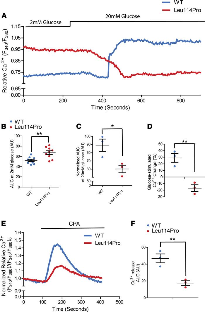 JCI Insight - A KCNK16 mutation causing TALK-1 gain of function is ...