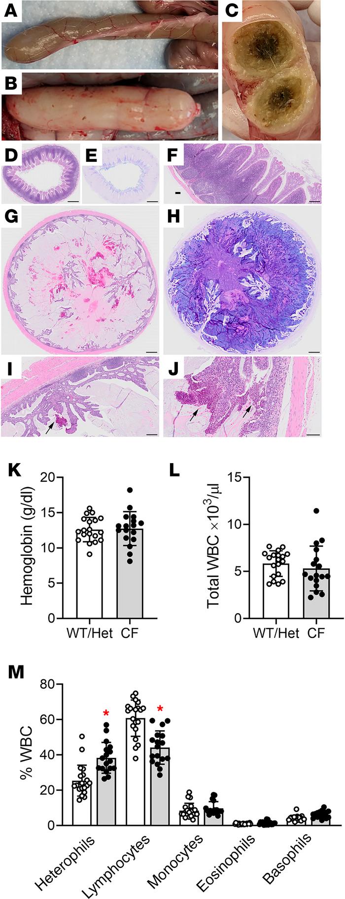 JCI Insight - Phenotypes of CF rabbits generated by CRISPR/Cas9 ...