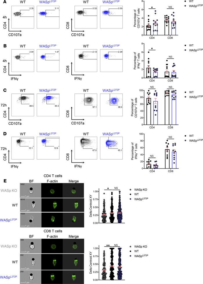 JCI Insight - Constitutive activation of WASp leads to abnormal ...