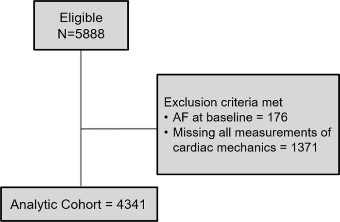 JCI Insight - Characterization of cardiac mechanics and incident atrial ...