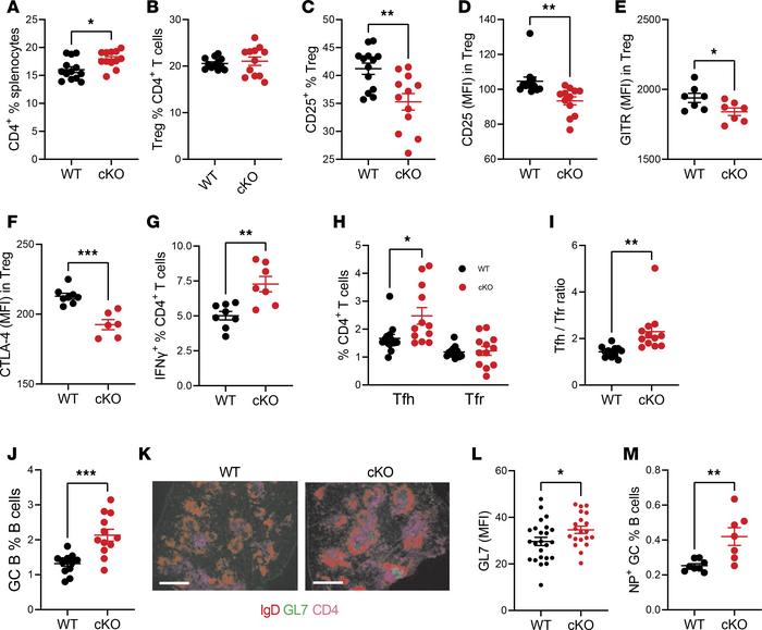 JCI Insight - Lupus susceptibility gene Esrrg modulates regulatory T ...