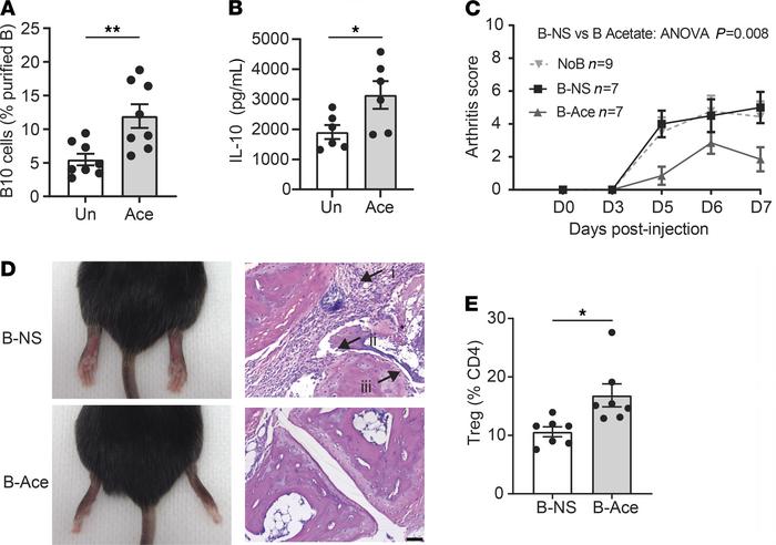 JCI Insight - Gut-derived acetate promotes B10 cells with ...