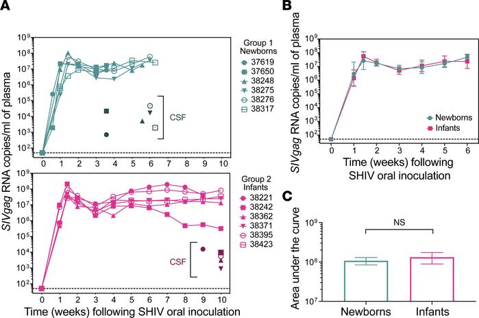 JCI Insight - Immune perturbation following SHIV infection is greater ...