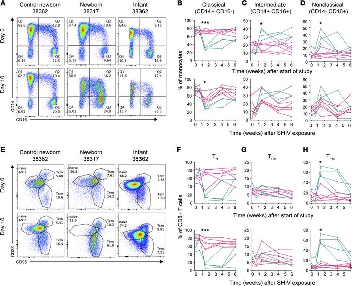 JCI Insight - Immune perturbation following SHIV infection is greater ...
