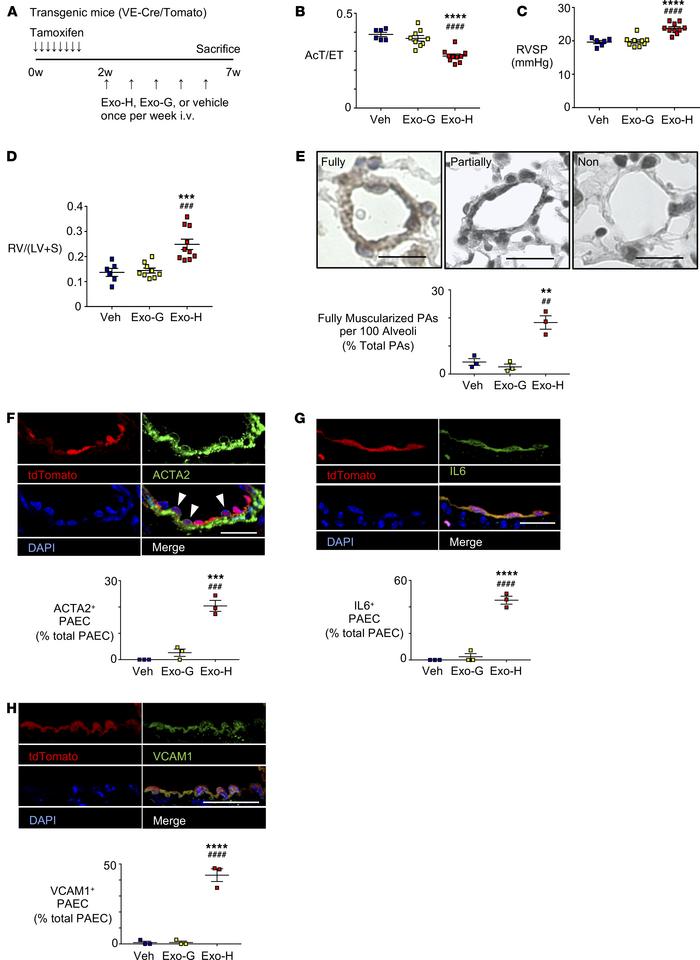 JCI Insight - Monocyte-released HERV-K dUTPase engages TLR4 and MCAM ...