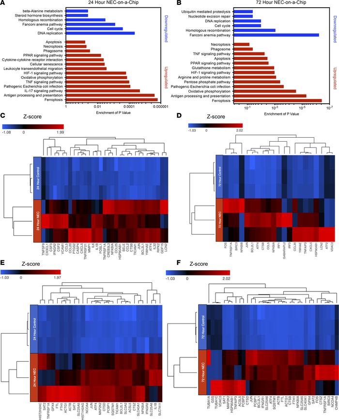 JCI Insight - Microfluidic device facilitates in vitro modeling of ...