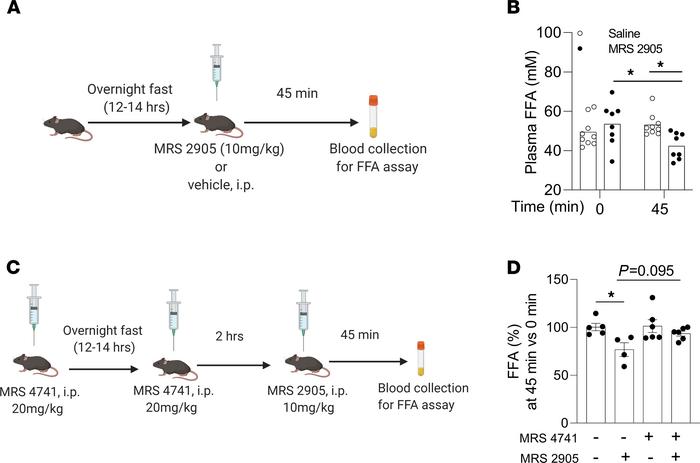 JCI Insight - Adipocyte P2Y14 receptors play a key role in regulating ...