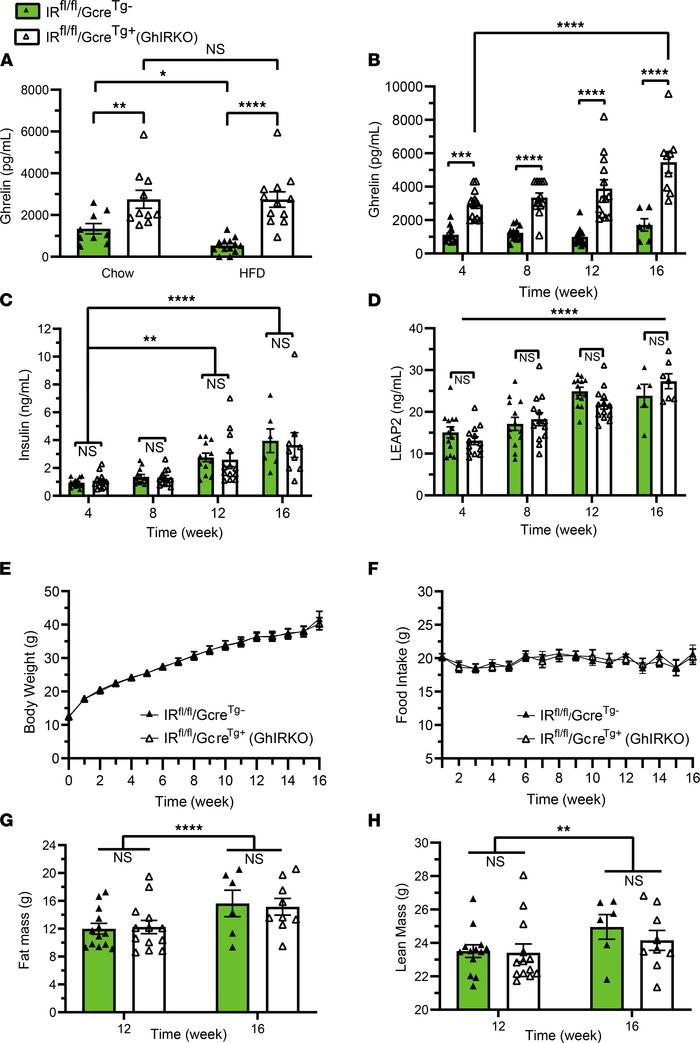 JCI Insight - Ghrelin cell–expressed insulin receptors mediate meal ...