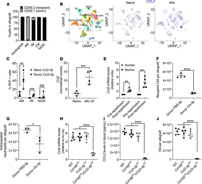 JCI Insight - Crosstalk between nonclassical monocytes and alveolar ...