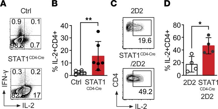 JCI Insight - STAT1 signaling protects self-reactive T cells from ...