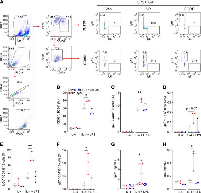 Jci Insight Nociceptor Neurons Promote Ige Class Switch In B Cells