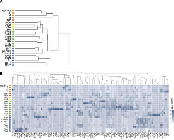JCI Insight - Gene expression atlas of energy balance brain regions