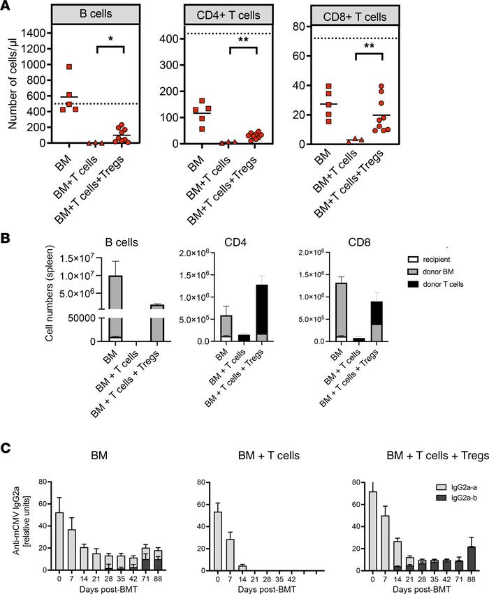 JCI Insight - Murine cytomegalovirus reactivation concomitant with ...