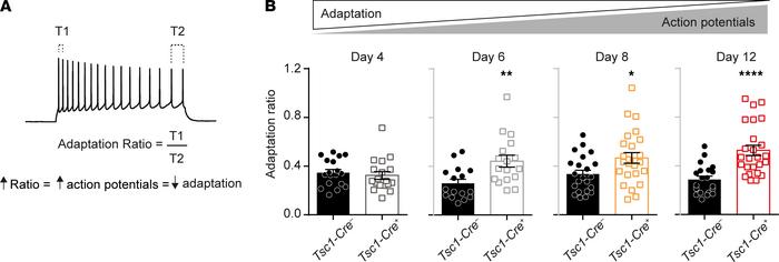 JCI Insight - Identifying the temporal electrophysiological and ...