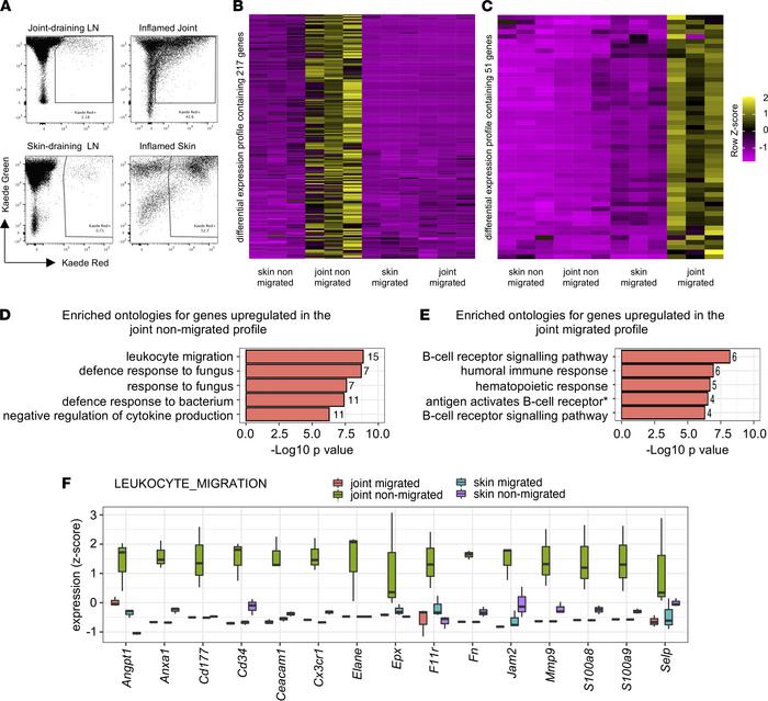 JCI Insight - Dissecting the molecular control of immune cell ...