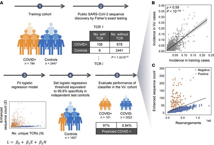 JCI Insight - Longitudinal analysis of T cell receptor repertoires ...
