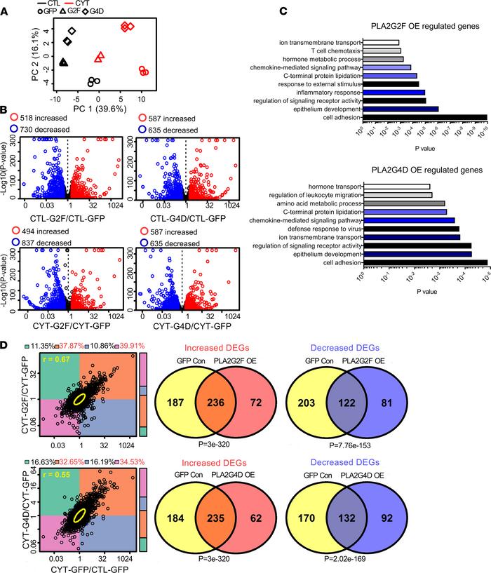JCI Insight - Phospholipase A2 enzymes represent a shared pathogenic ...