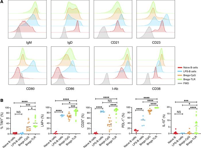 JCI Insight - Suppression of allograft rejection by regulatory B cells ...