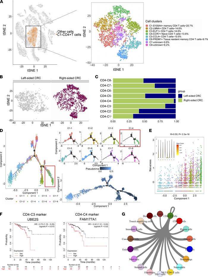 JCI Insight - Resolving the difference between left-sided and right ...