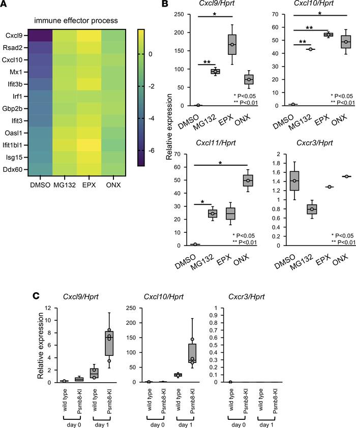 JCI Insight - Blockade of the CXCR3/CXCL10 axis ameliorates ...