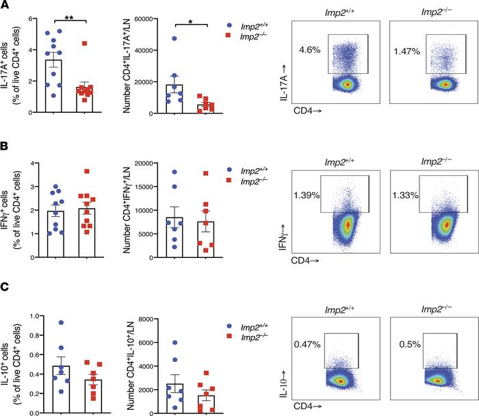 JCI Insight - The RNA-binding protein IMP2 drives a stromal-Th17 cell ...
