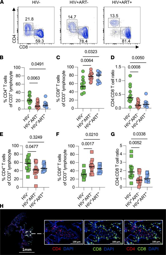 JCI Insight - Differential localization and limited cytotoxic potential ...