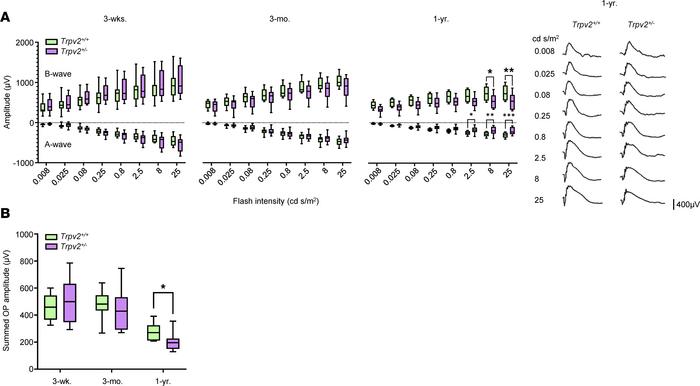 JCI Insight - Loss of TRPV2-mediated blood flow autoregulation ...