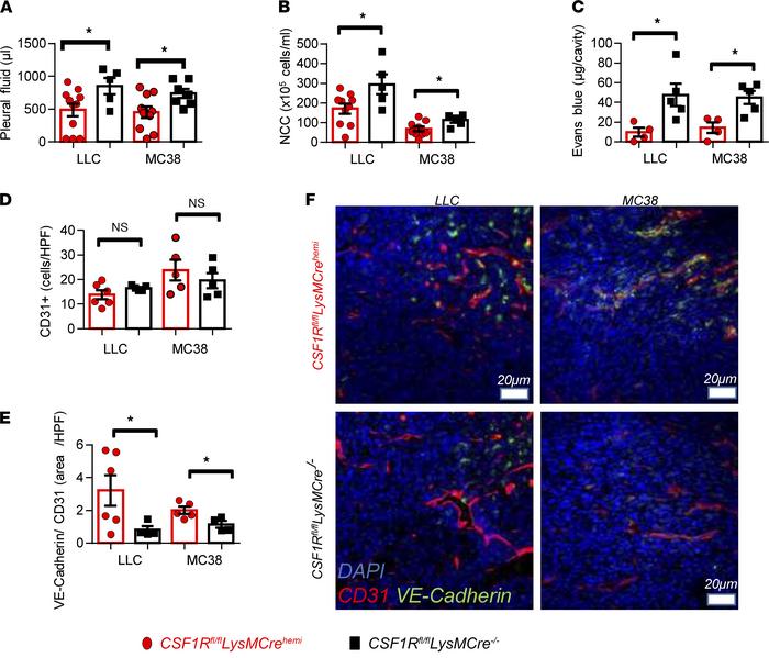 JCI Insight - CSF1/CSF1R signaling mediates malignant pleural effusion ...
